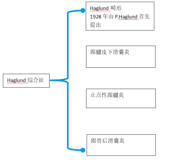 骨科精读 | 脚后跟反复疼痛？Haglund综合征要引起注意！ - 上海开为医药科技有限公司--创伤、肢体矫形技术解决方案的专业服务商